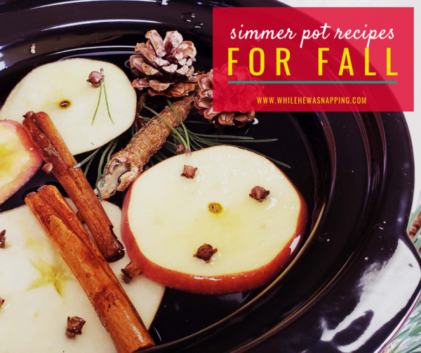 Amazing Fall Simmer Pot Recipes - All Natural Ingredients!