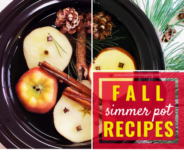 Amazing Fall Simmer Pot Recipes - All Natural Ingredients!