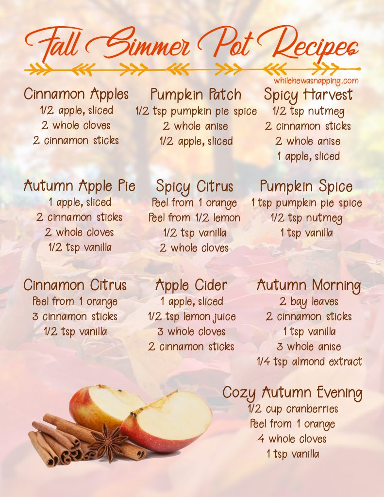 Amazing Fall Simmer Pot Recipes - All Natural Ingredients!