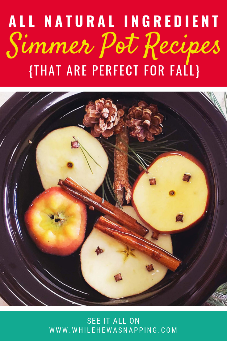 Amazing Fall Simmer Pot Recipes - All Natural Ingredients!